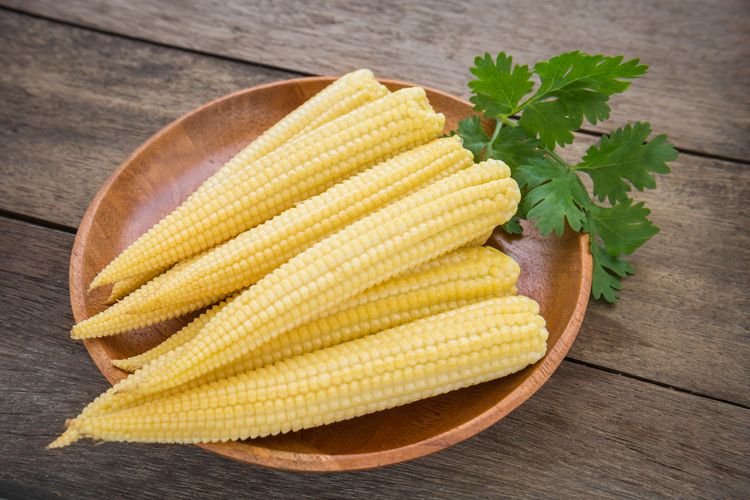 Jagung Muda alias Putren: Manfaat dan Efek Samping